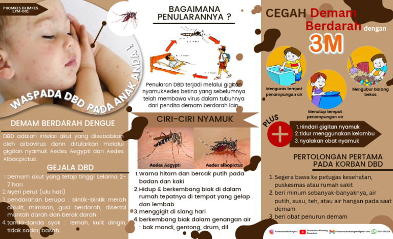 Waspada DBD Pada Anak Anda ! | PDF