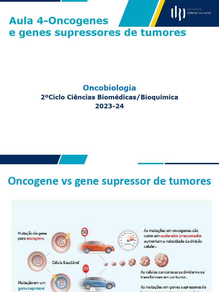 Aula 4-Oncogenes e Genes Supressores de Tumores | PDF | Oncogene ...