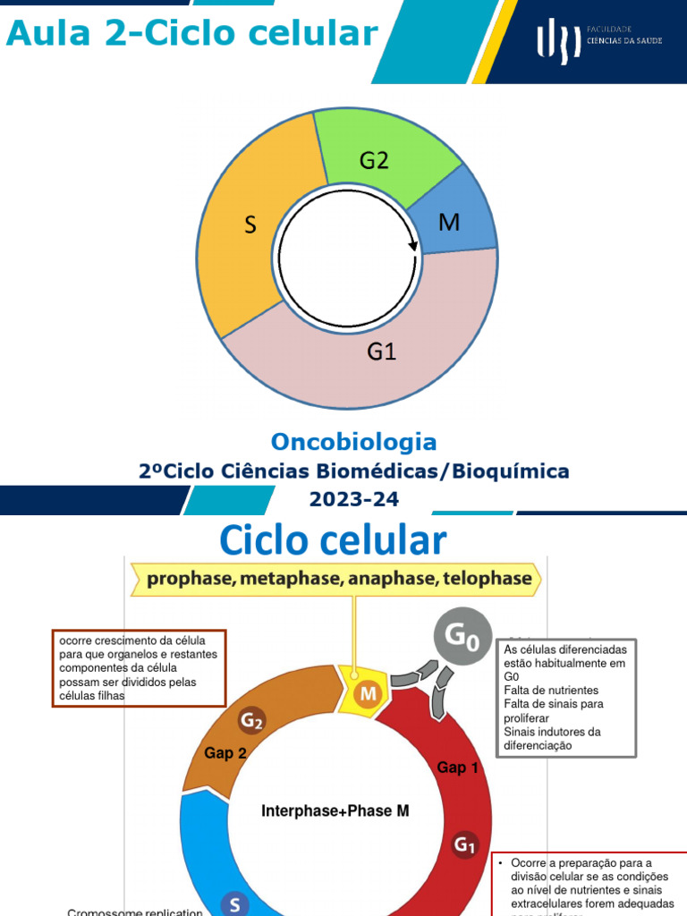 Aula 2-Ciclo Celular | PDF | Ciclo de célula | Célula (Biologia)