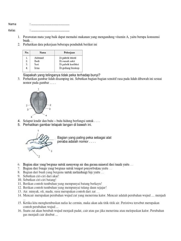 Latihan Kelas 4 SAS IPAS 2023 | PDF
