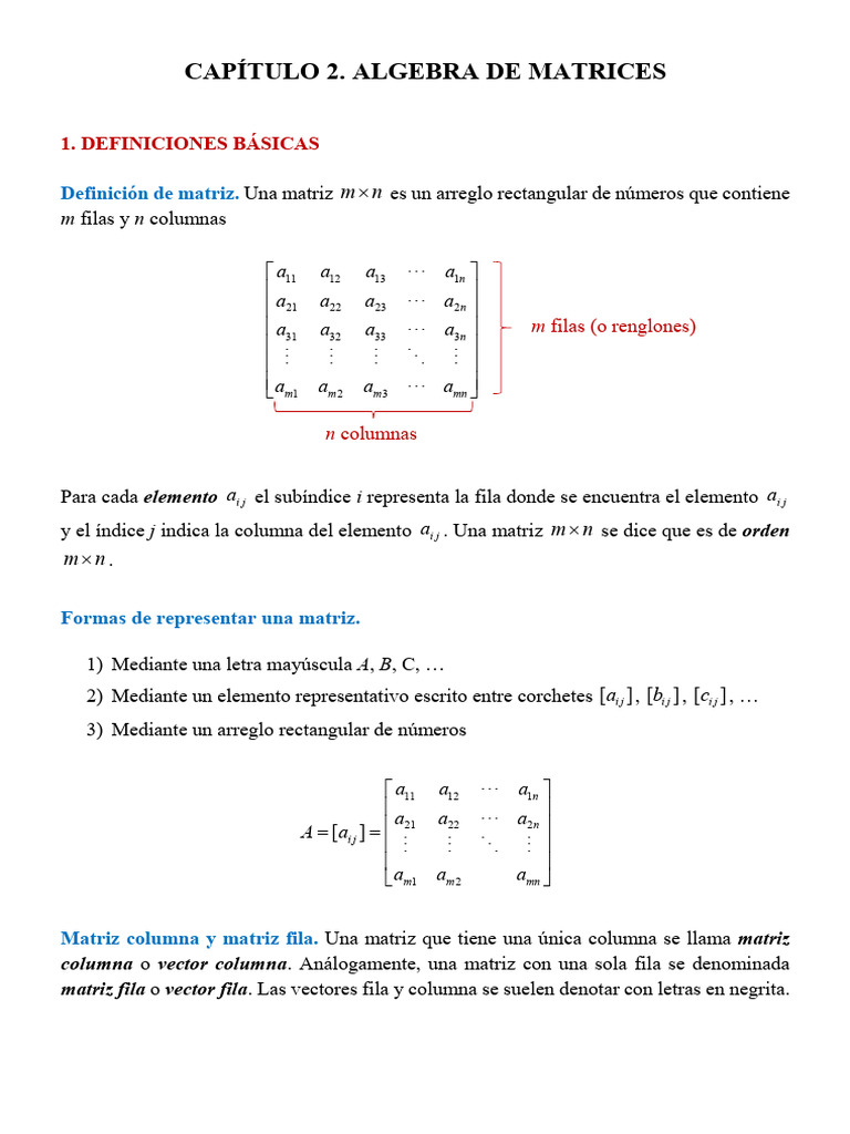 Capítulo 2. Algebra de Matrices | PDF | Matriz (Matemáticas) | Álgebra abstracta