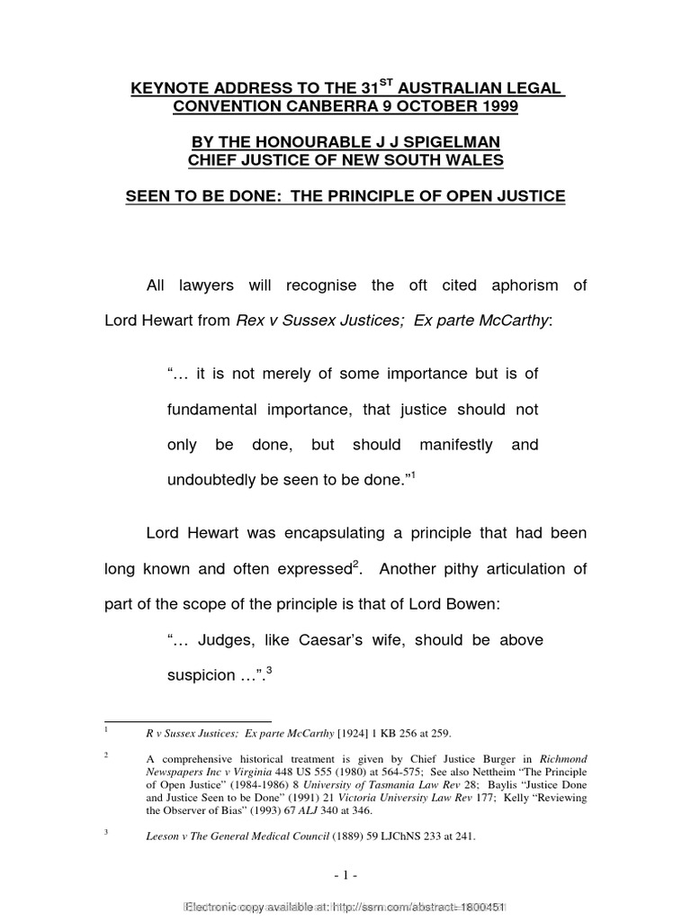 SSRN Id1800451 | PDF | Common Law | Judge