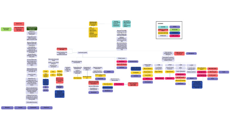 Patho - PTB and Lung Ca | PDF | Lung | Respiratory Tract