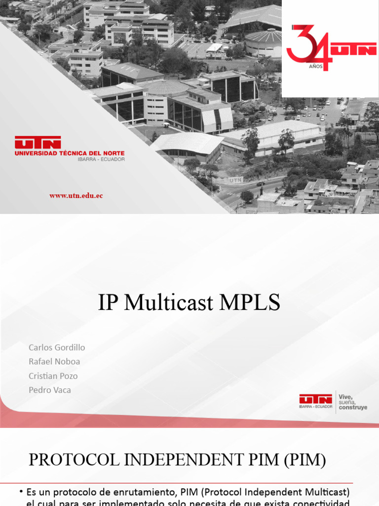 IP Multicast | PDF | Enrutador (Computación) | Multidifusión