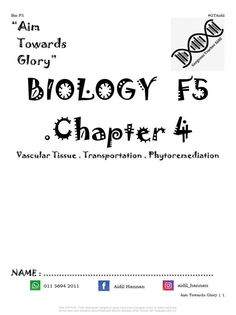 Chapter 4 Bio F5 | PDF | Root | Plant Stem