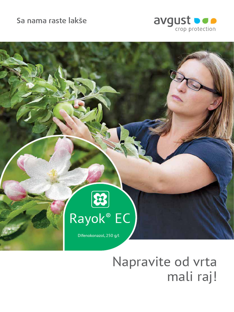 Rayok EC - Leaflet | PDF