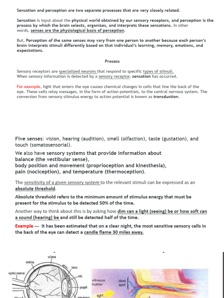 SENSATION AND PERCEPTION | PDF | Senses | Perception