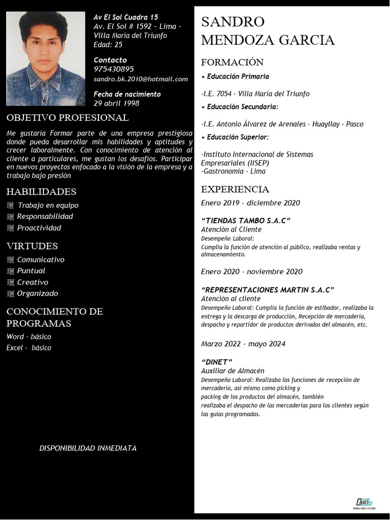 CV Sandro | PDF | Business