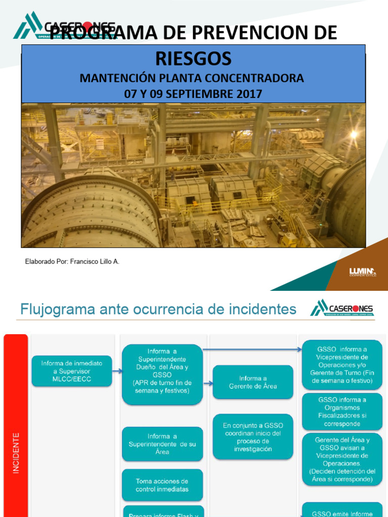 Programa de Prevencion | PDF