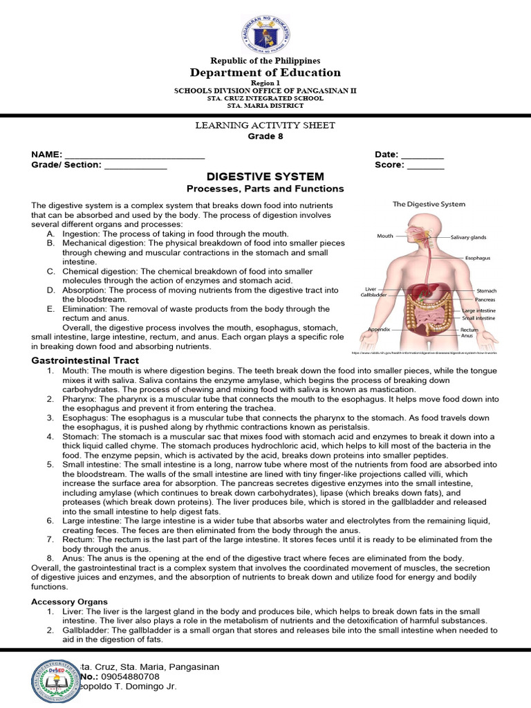 Grade-8-LAS Digestive System | PDF | Small Intestine | Digestion