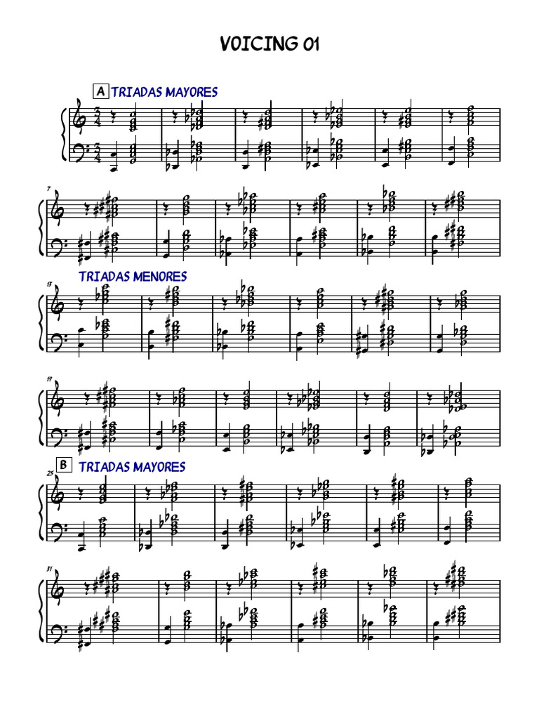 Voicing 01 | PDF