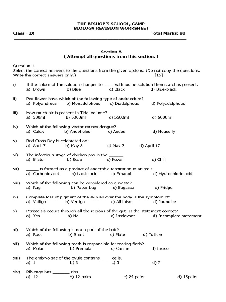 11022024012410class9 Worksheet | PDF | Stomach | Small Intestine