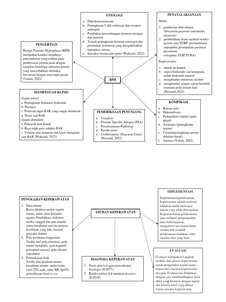 Mind Map 2 Pneumonia | PDF