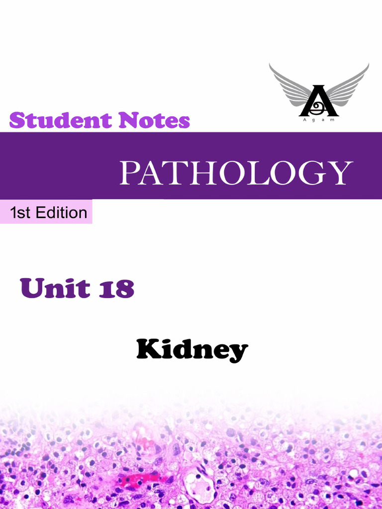 Kidney | PDF | Kidney Disease | Kidney
