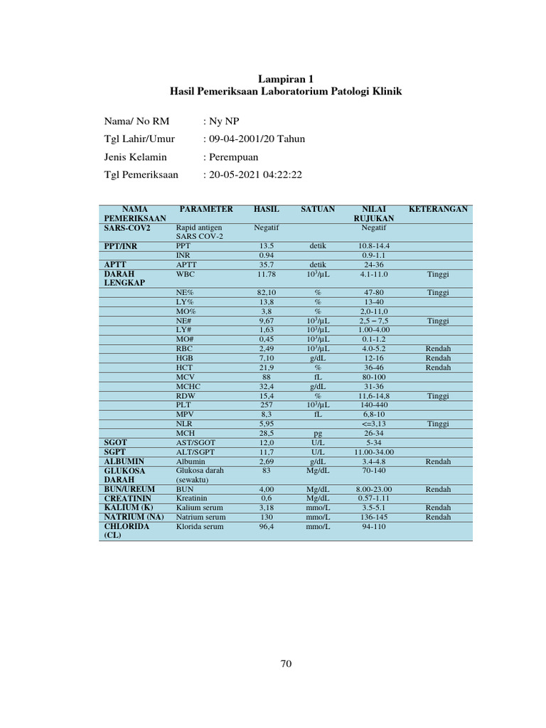 Lampiran - Lampiran | PDF