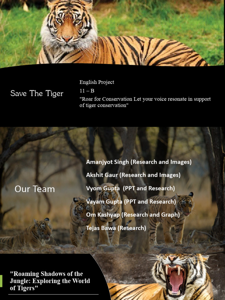 Save The Tiger - Final Project | PDF | Tiger | Climate Change