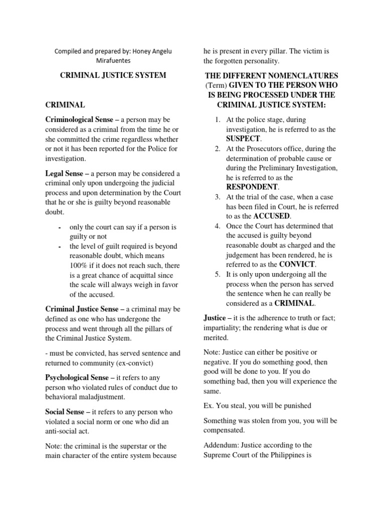 Understanding the Criminal Justice System | PDF | Search And Seizure ...