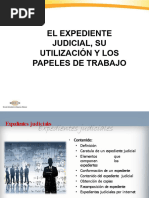 Caratula Expediente Judicial Modelo | PDF