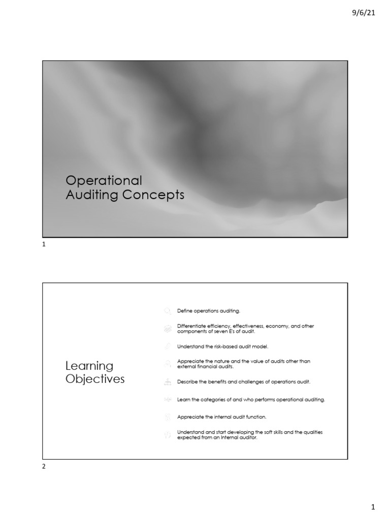 Understanding Operational Auditing | PDF | Audit | Internal Audit