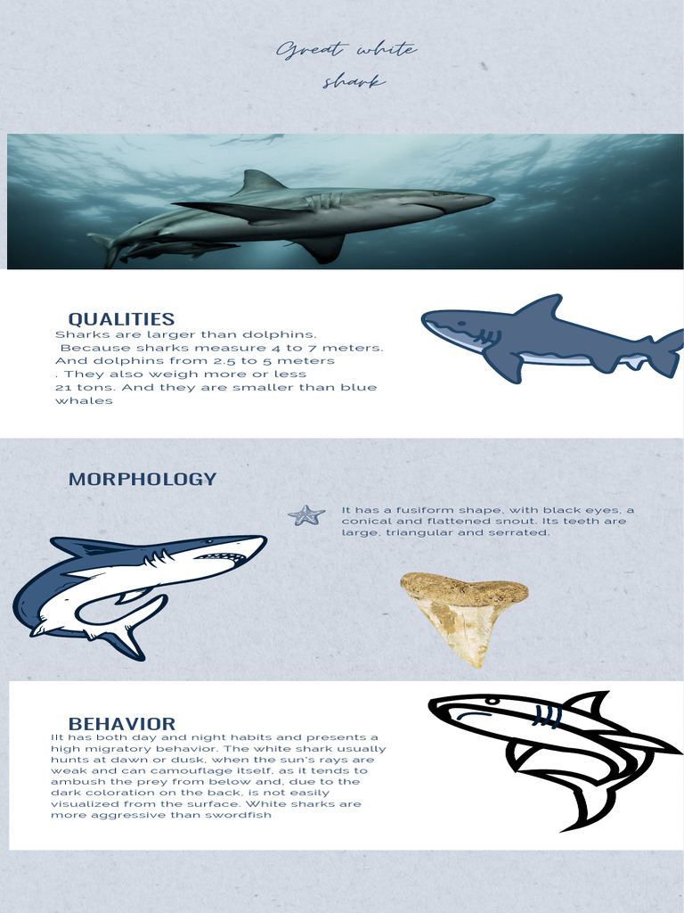 Blue Illustrated Ocean Whales Infographic | PDF