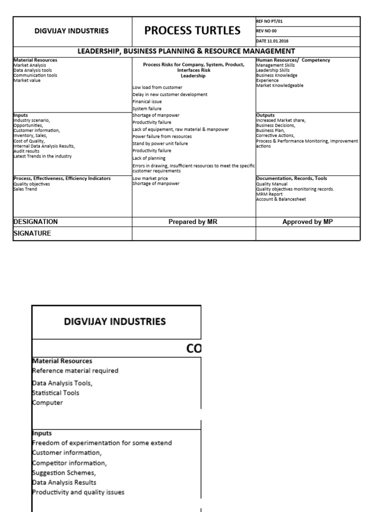 Leadership Process Turtles | PDF | Data Analysis | Data