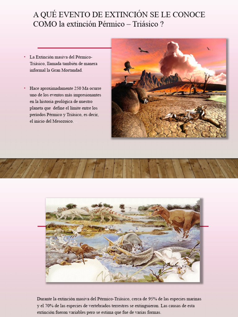 Extinción Masiva Pérmico-Triásico | PDF