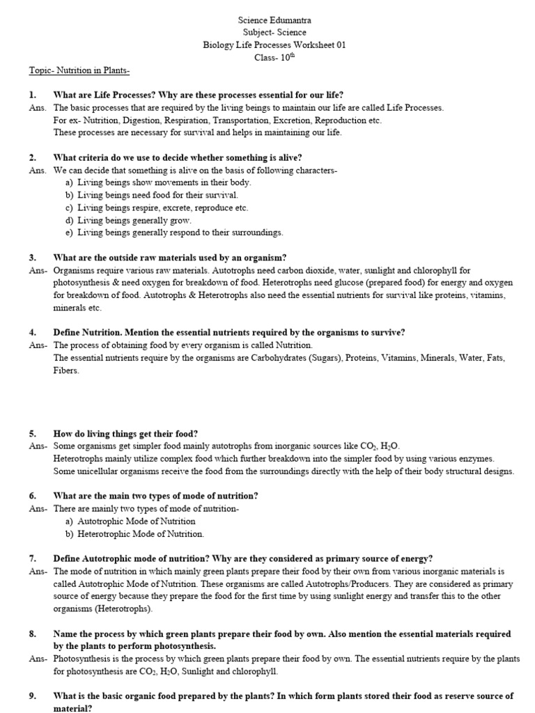 Life Processes Ws01 Pdf Nutrition Diet And Nutrition 