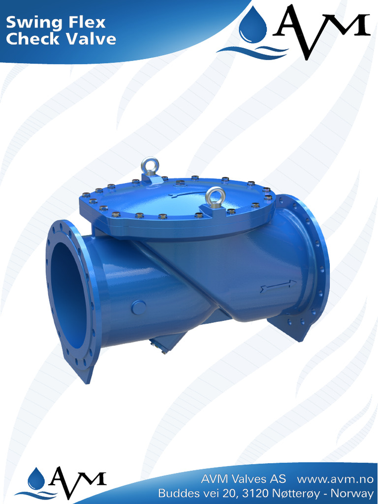 AVM Swing Flex Check Valve Leaflet | PDF | Valve | Gas Technologies