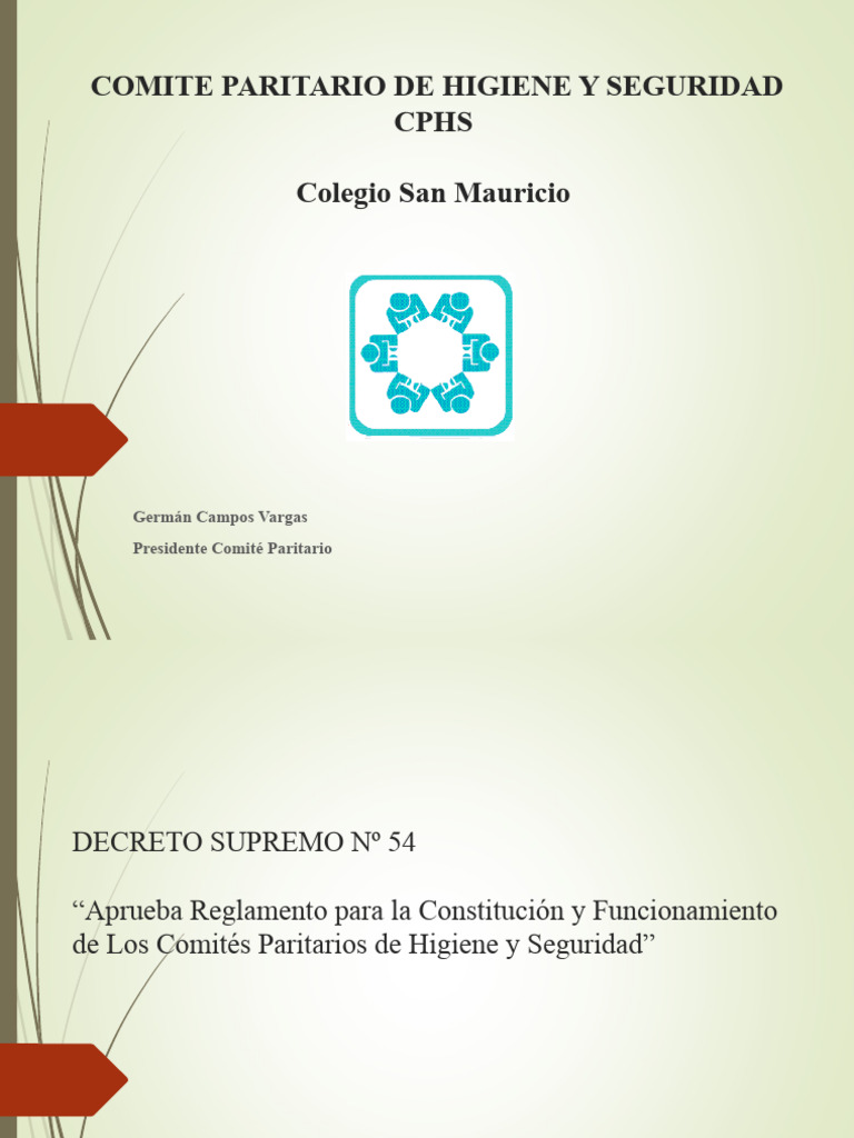 Comite Paritario | PDF