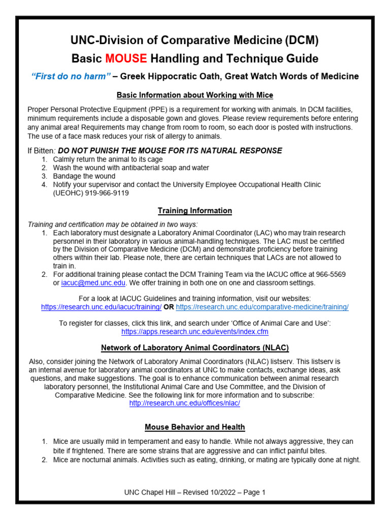 Mouse Handling and Techniques | PDF | Injection (Medicine) | Anesthesia