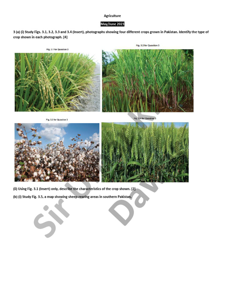 Agriculture Questions | PDF | Agriculture | Wheat