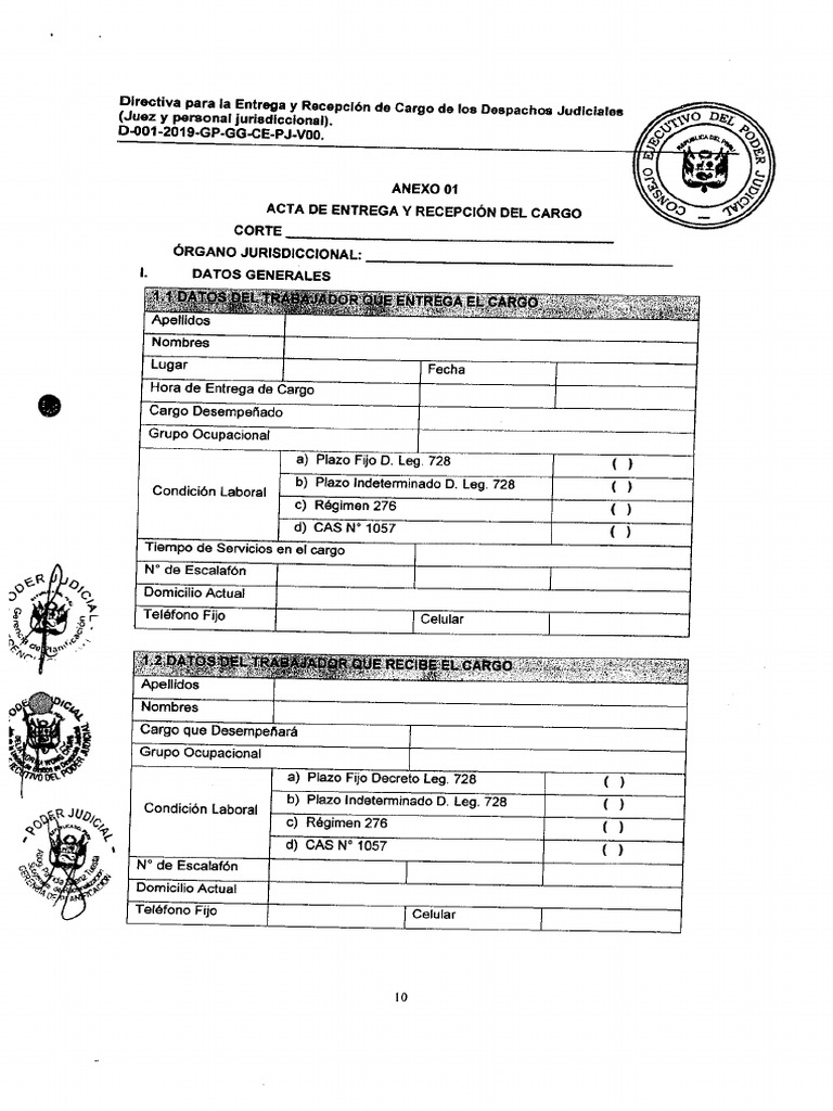 formato de entrega de cargo PJ | PDF