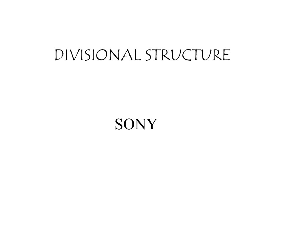 Sony Organization Structure | PDF