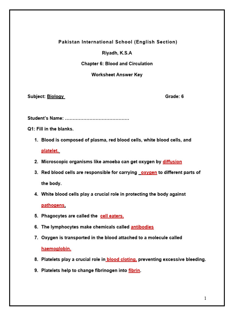 Grade 6 Answer Key Blood and Circulation - Worksheet 2024 NIMRA ZAI ...