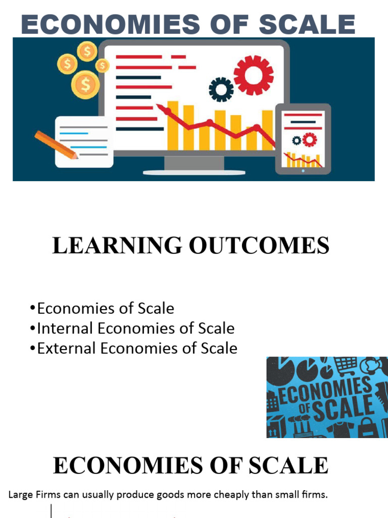 Understanding Economies of Scale | PDF | Economies Of Scale | Average Cost