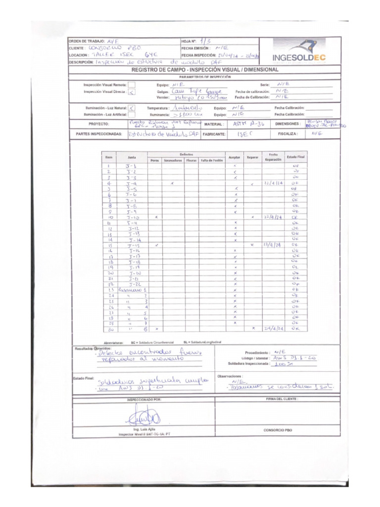 Inspeccion Visual - Registro De Campo | PDF