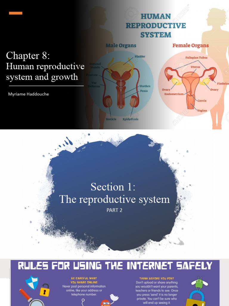 Chapter 8 Section 1 - The Reproductive System Part2 | PDF | Semen | Sperm