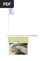 Focas Bebés | PDF | Pinnípedo | Hembra