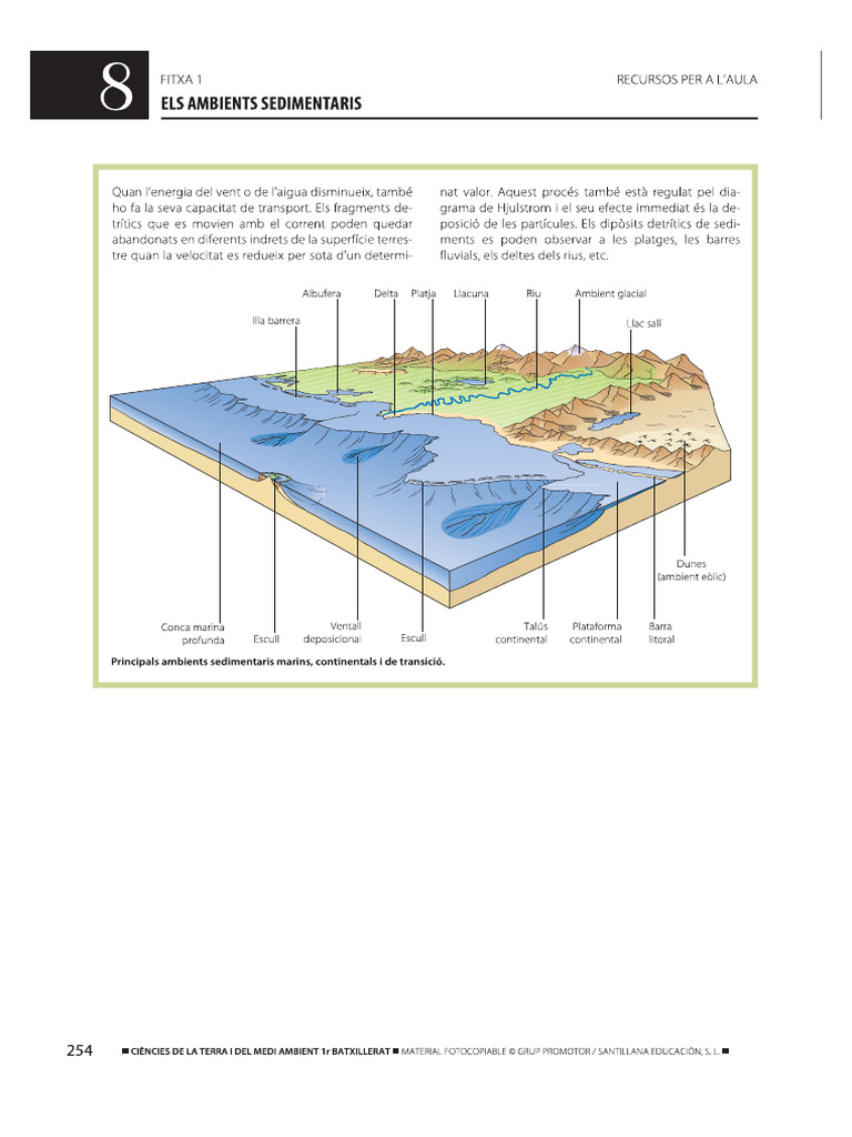 Ambients Sedimentaris | PDF