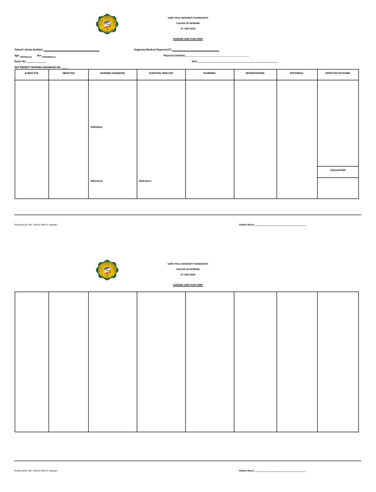Nursing Care Plan Template 2023-2024 | PDF