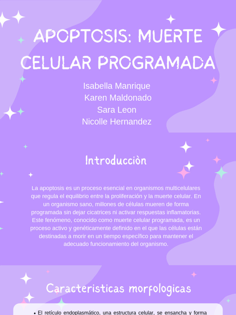 Apoptosis Muerte Celular Programada | PDF | Apoptosis | Caspasa