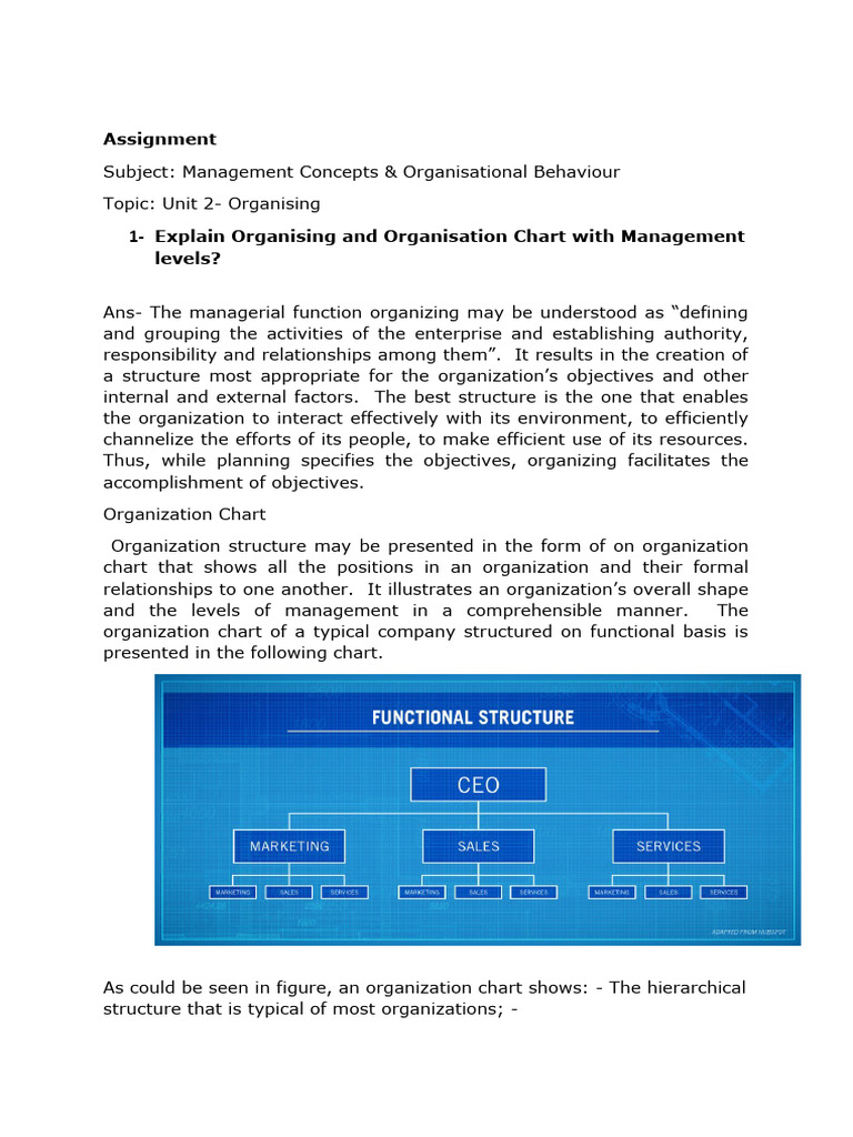 Organizing in Management: Authority & Structure | PDF | Globalization ...