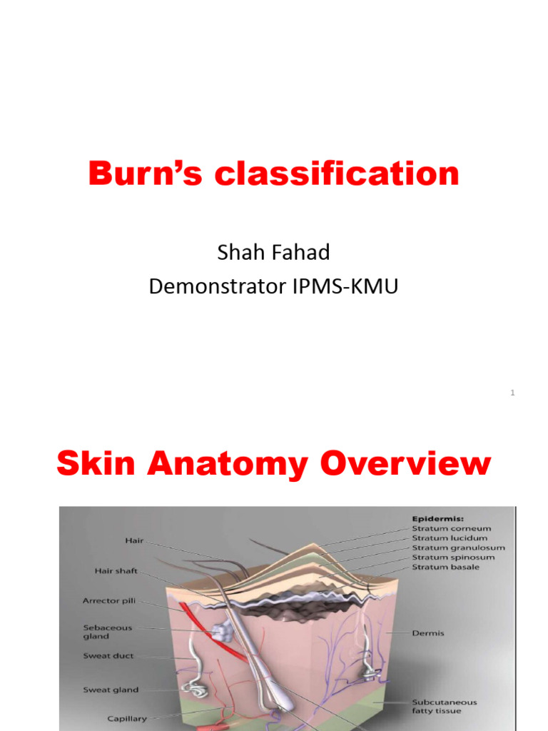 02 Burns Classification | PDF | Burn | Skin