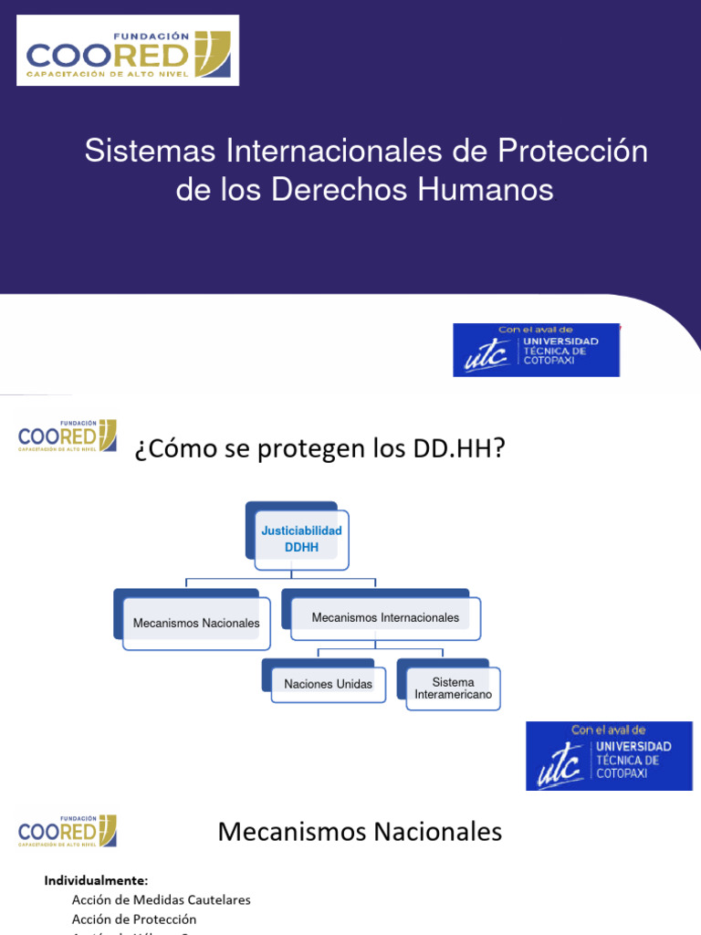 Sistemas Internacionales de Protección de Los Derechos Humanos | PDF | Derechos humanos ...