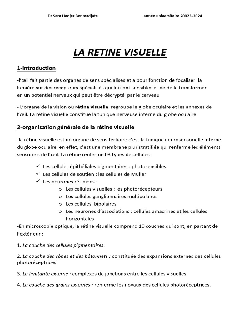 Anatomie et Fonction de la Rétine Visuelle | PDF | Rétine | Œil