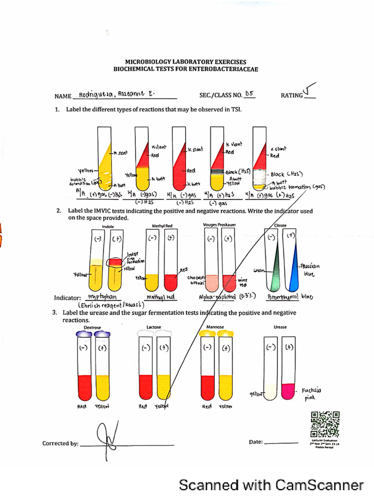 Micro Manual 2nd Sem Prelims | PDF