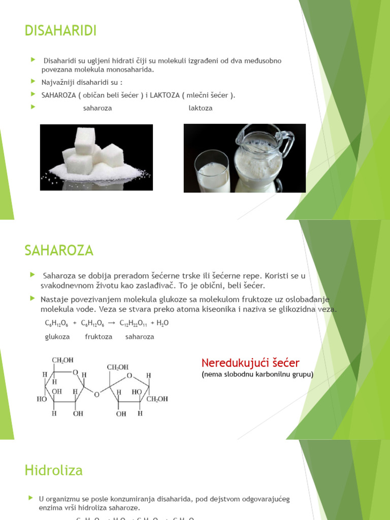 Disaharidi I Polisaharidi | PDF