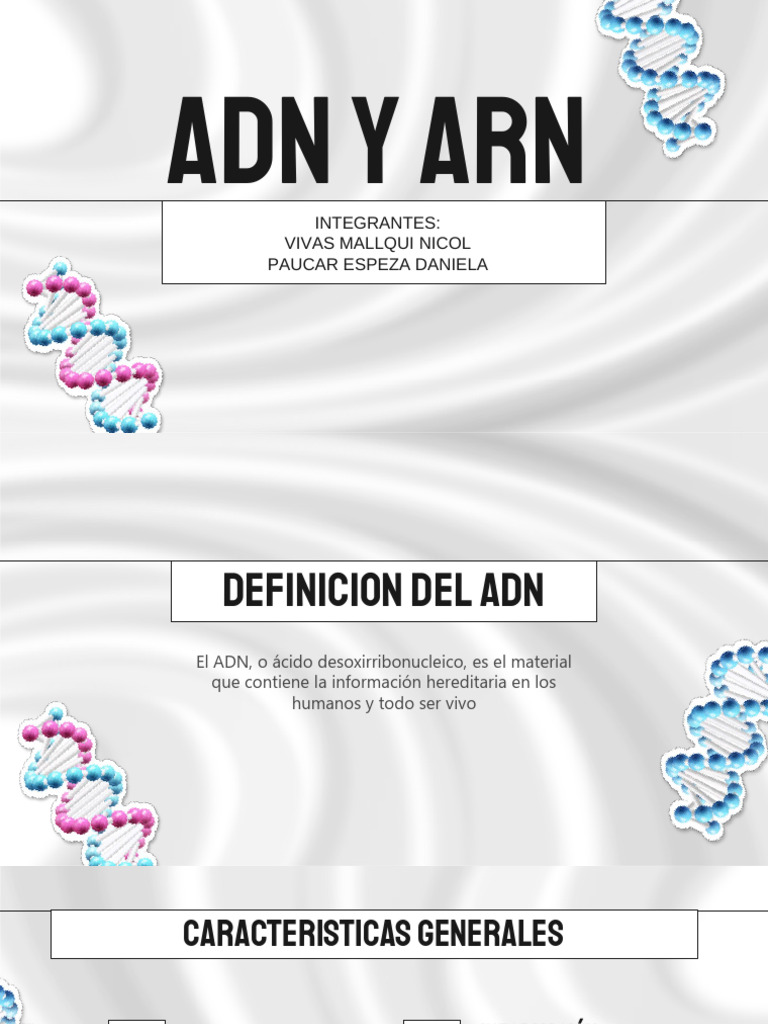 Estructura y Función del ADN | PDF | Adn | Genética