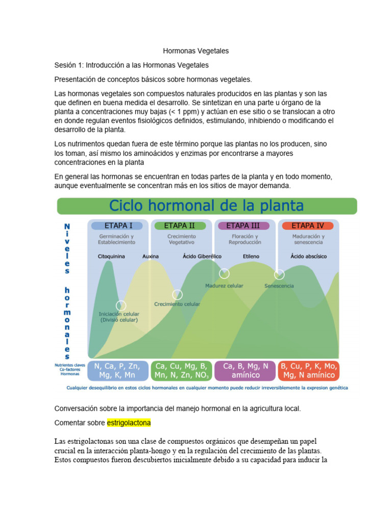 Hormonas Vegetales | PDF | Hormona Vegetal | Auxina