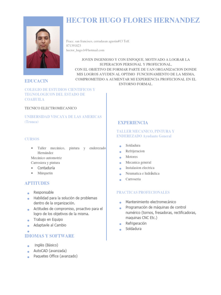 CV Hector Hugo Flores HDZ 005 | PDF | Ingeniería